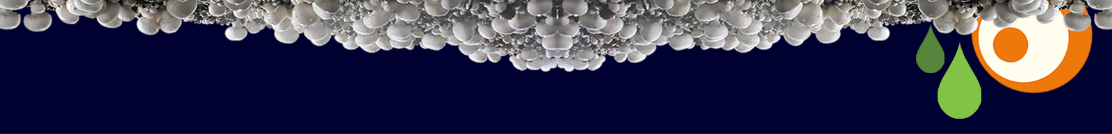 Home-0502c | Nutrigain Organic mushroom suppl